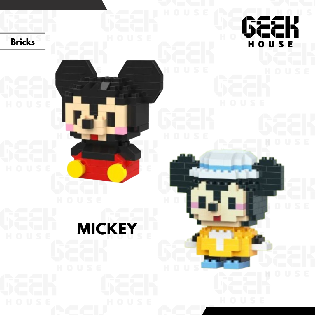 Mickey Bricks